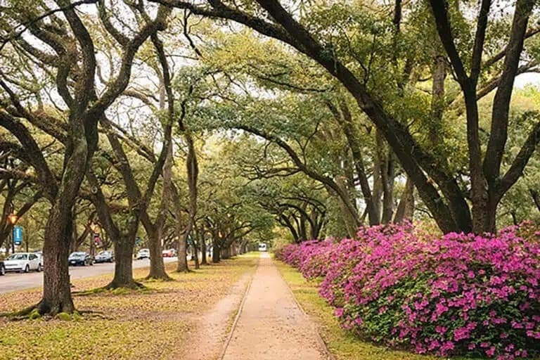 About Our Community for Senior Retirement in South Texas